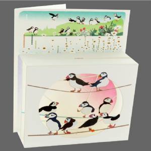 NEW RANGE | Forever Cards Ltd